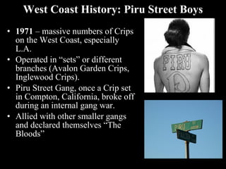 Final Bloods Presentation | PPT