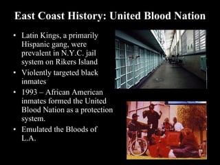 Final Bloods Presentation | PPT