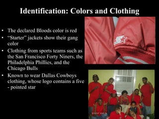 Final Bloods Presentation | PPT