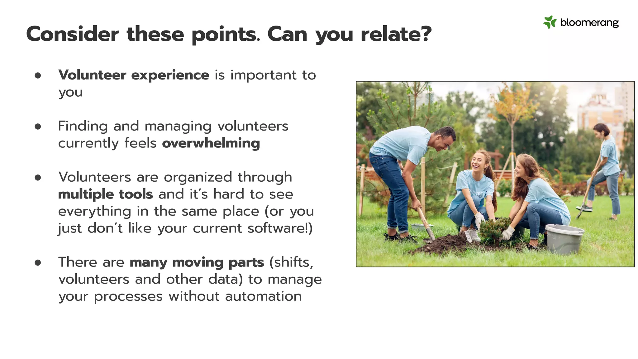 FINAL_Bloomerang Volunteer .pdf