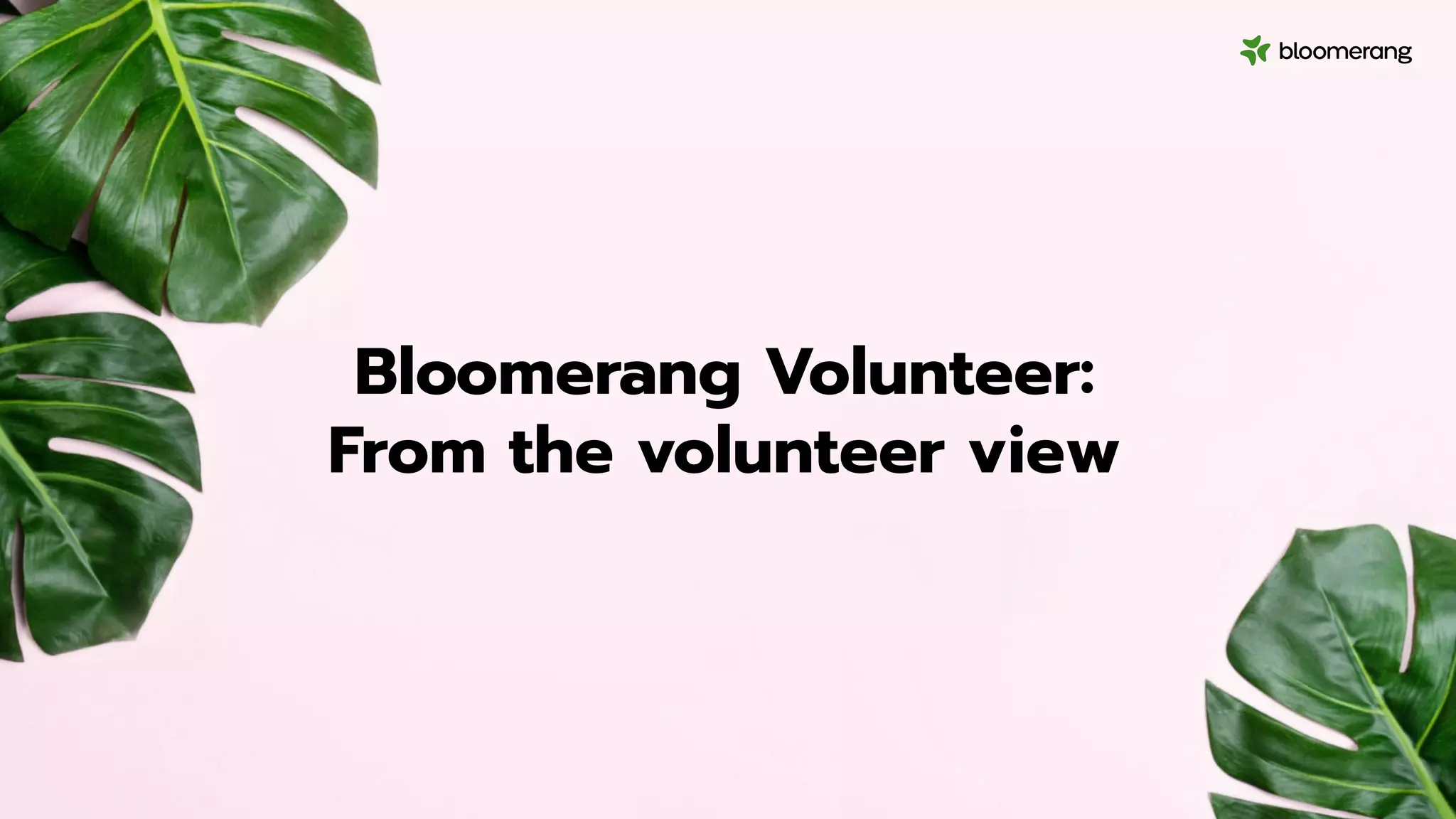 FINAL_Bloomerang Volunteer .pdf