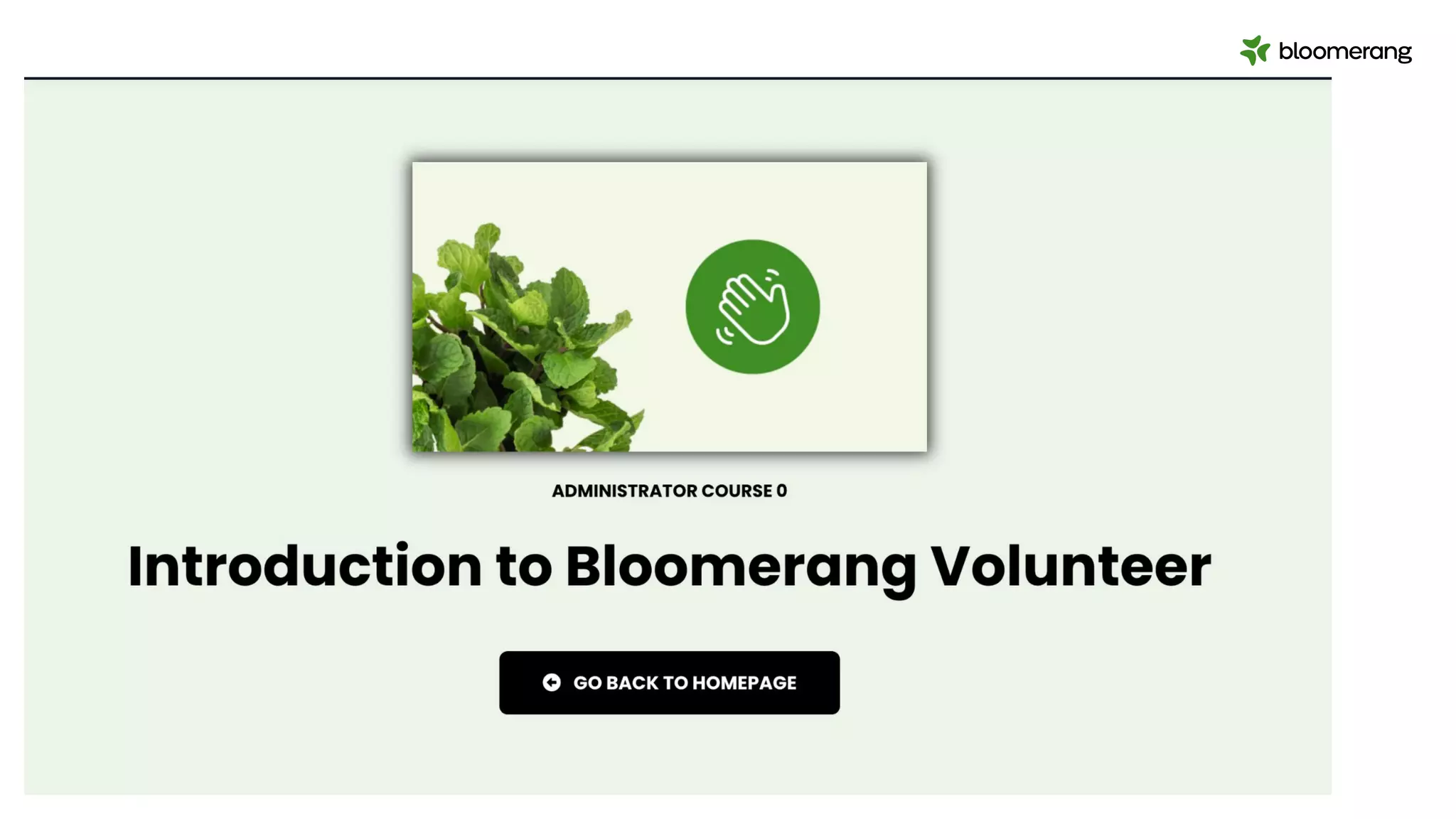 FINAL_Bloomerang Volunteer .pdf