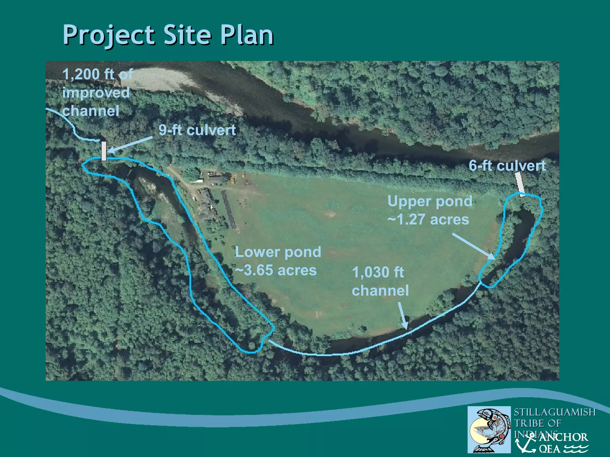 Blue Slough Presentation | PPT