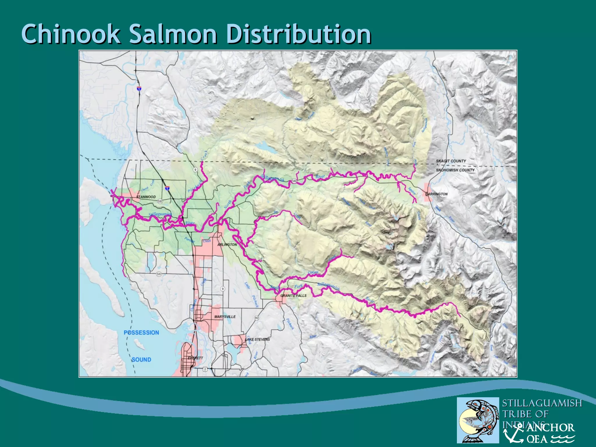 Blue Slough Presentation | PPT