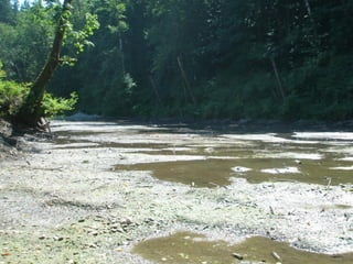 Blue Slough Presentation | PPT