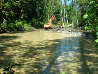 Blue Slough Presentation | PPT