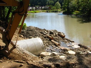 Blue Slough Presentation | PPT