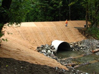 Blue Slough Presentation | PPT