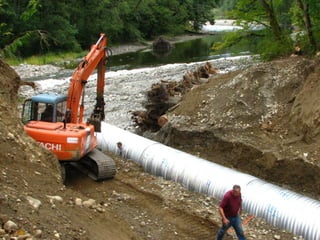 Blue Slough Presentation | PPT