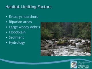 Blue Slough Presentation | PPT