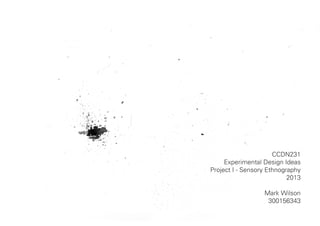 Sensory Ethnography | PDF