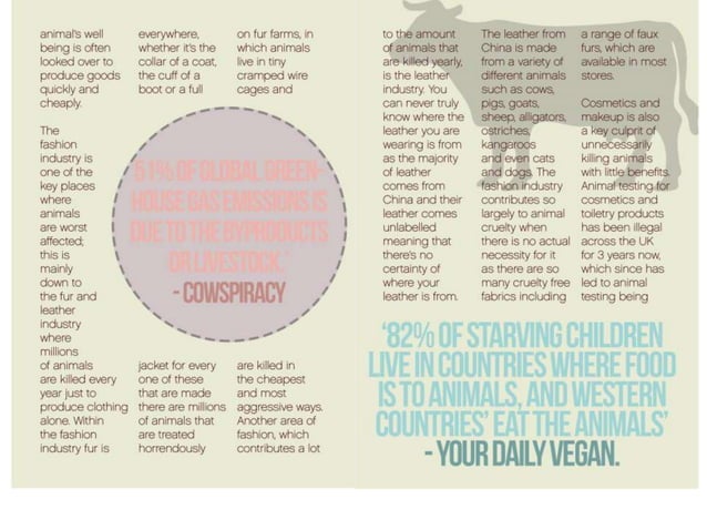 Final booklet | PPTX