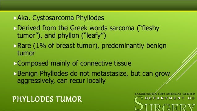 Case Presentation - Phyllodes Tumor