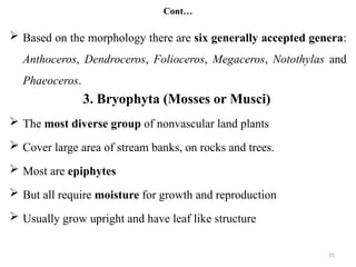 final Bryophytes and Pteridophytes PPT(1).pptx