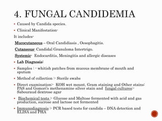 Final blood stream infection, department of microbiology | PPT
