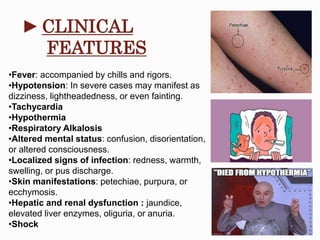 Final blood stream infection, department of microbiology | PPTX