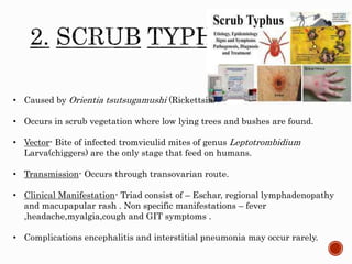 FINAL BSI group b3,d3 department of microbiology.pptx