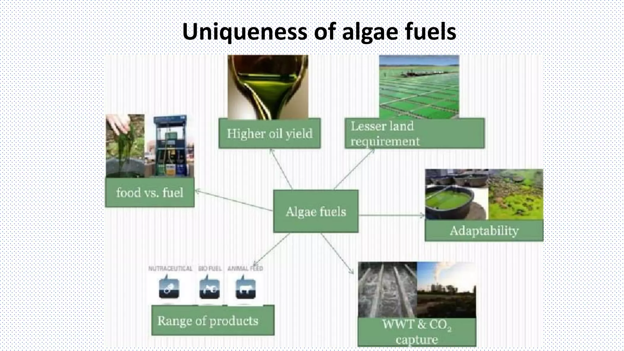 Algal Biofuel Production.pptx