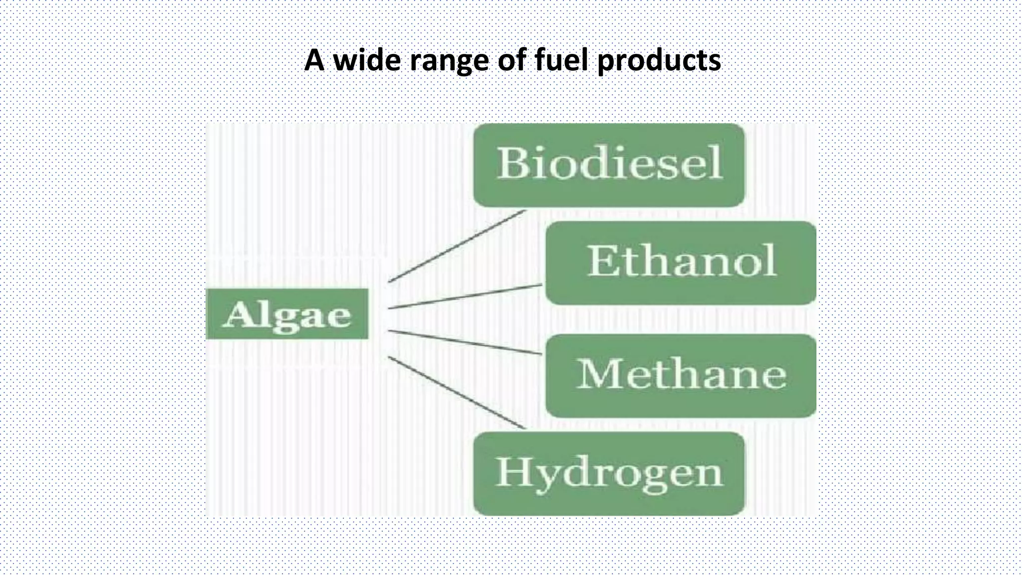 Algal Biofuel Production.pptx