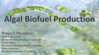 Algal Biofuel Production.pptx