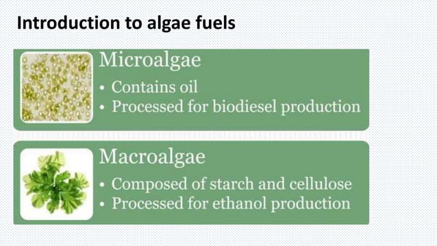 Algal Biofuel Production.pptx
