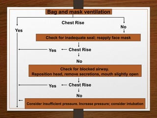 Bag and Mask Ventilation By Sakun Rasaily, Sr. Staff Nurse & Ram Kumar Dhamala | PPTX