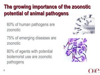 Global animal health challenges: The health pillar | PPT