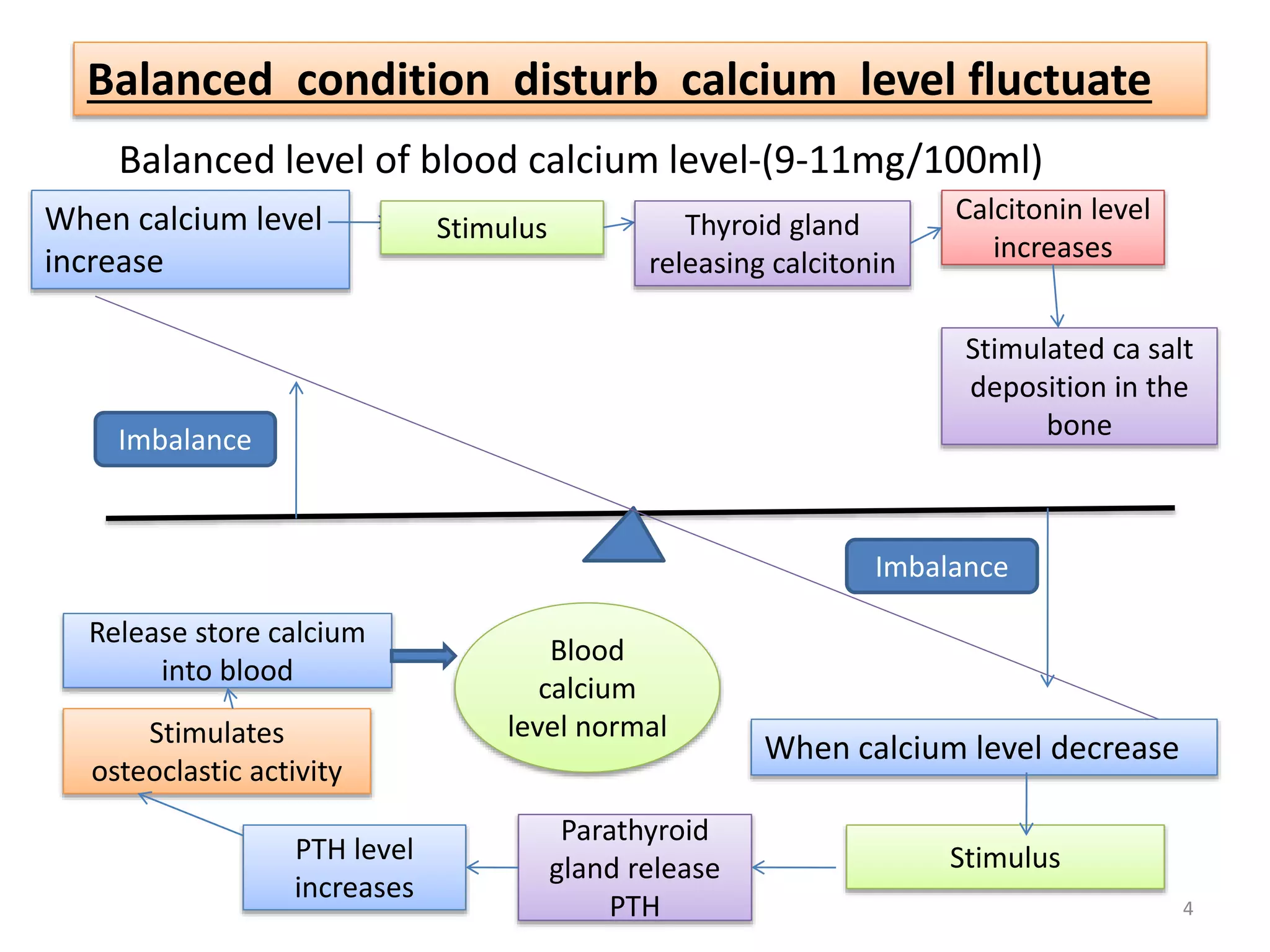 calcium homeostasis | PPTX