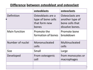 calcium homeostasis | PPT