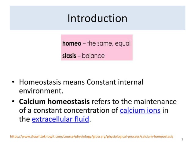 calcium homeostasis | PPT