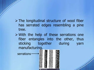 Textile Fiber and its Properties | PPTX