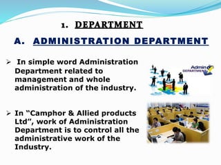 camphor and allied product presentation (ppt) | PPTX