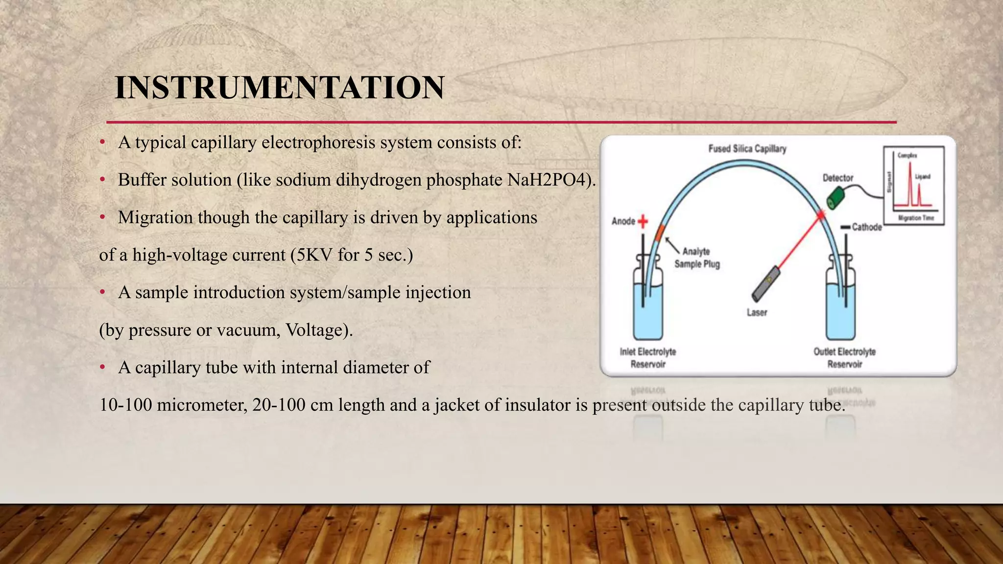 Final Capillary Electrophoresis.pptx