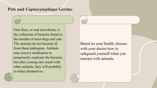Final CAPNOCYTOPHAGA INFECTION by Gauri Gawande.pptx