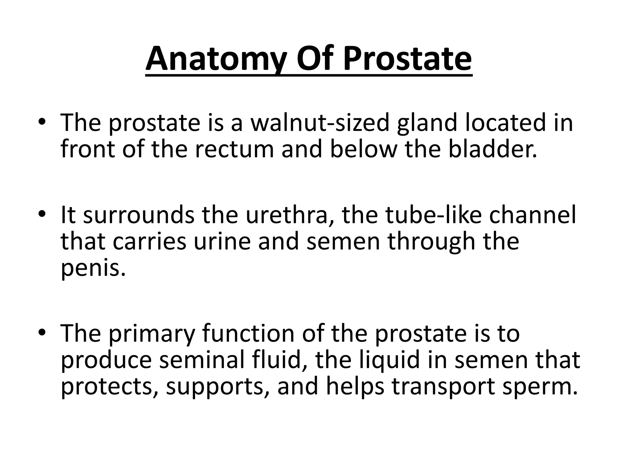 CA Prostate | PPTX | Cancer | Diseases and Conditions