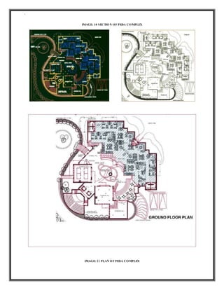 Case study of peda | DOCX