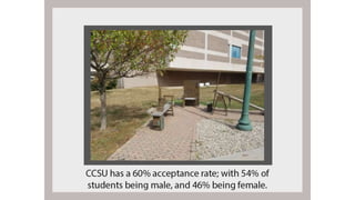 Assignment 2 (COMM 231) - Daniel Guerrera | PPT