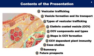 Clathrin coated vesicle components in plant immunity | PPTX | Genetics ...