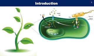 Clathrin coated vesicle components in plant immunity | PPTX