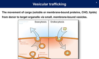 Clathrin coated vesicle components in plant immunity | PPTX