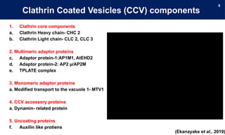 Clathrin coated vesicle components in plant immunity | PPTX