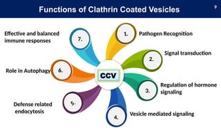 Clathrin coated vesicle components in plant immunity | PPTX