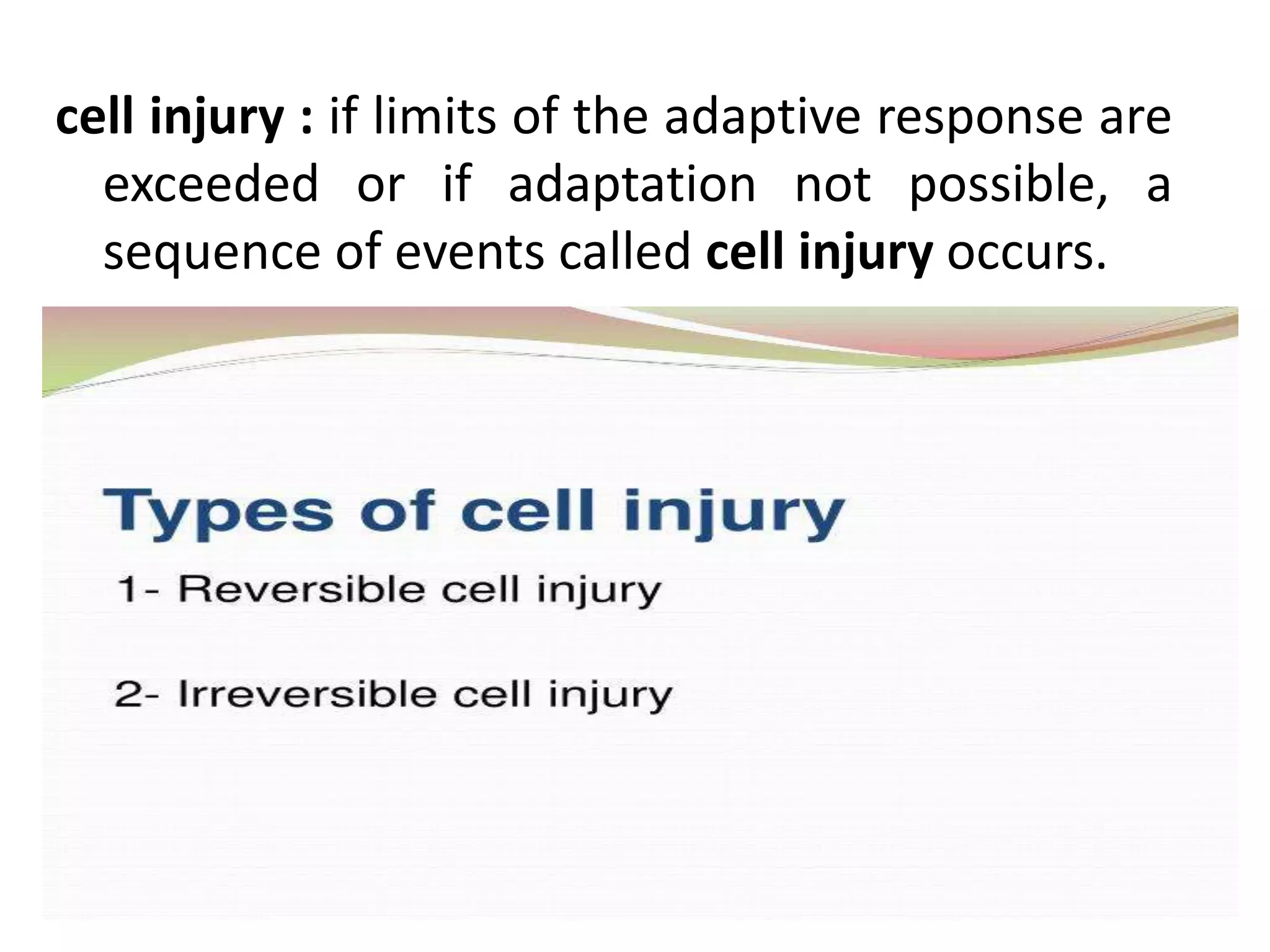 cell injury | PPT