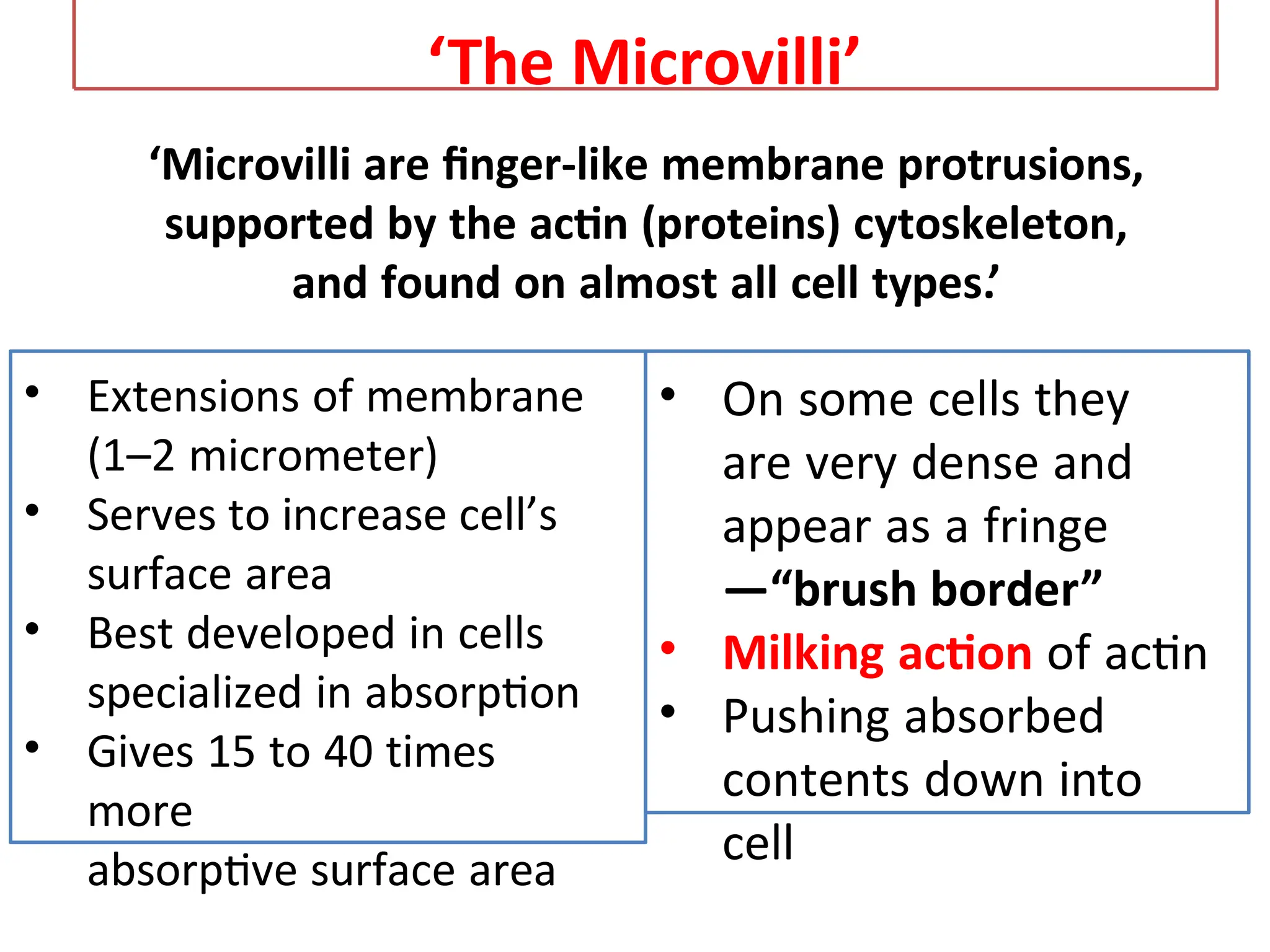 FINAL CELLS ANATOMY (1) [Auip8uui;oy9'yiuy79y08ugtttosaved].pptx