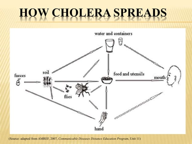final cholera presentation.pptx | Infectious Diseases | Diseases and ...