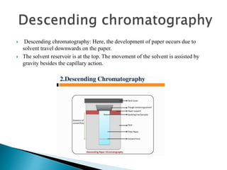 chromatography | PPTX