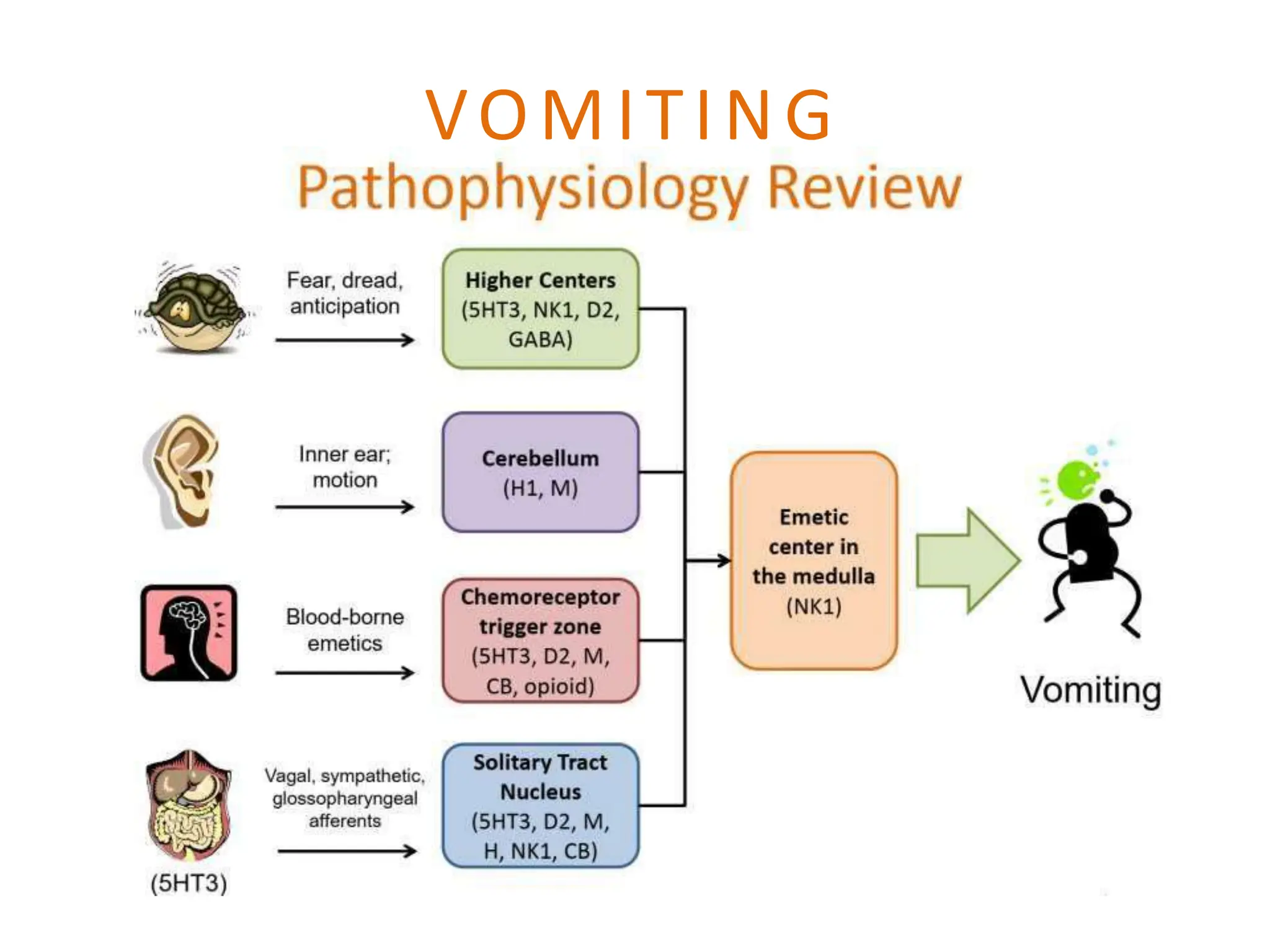 FINAL CINV cancer induced nausea vomiting | PPTX