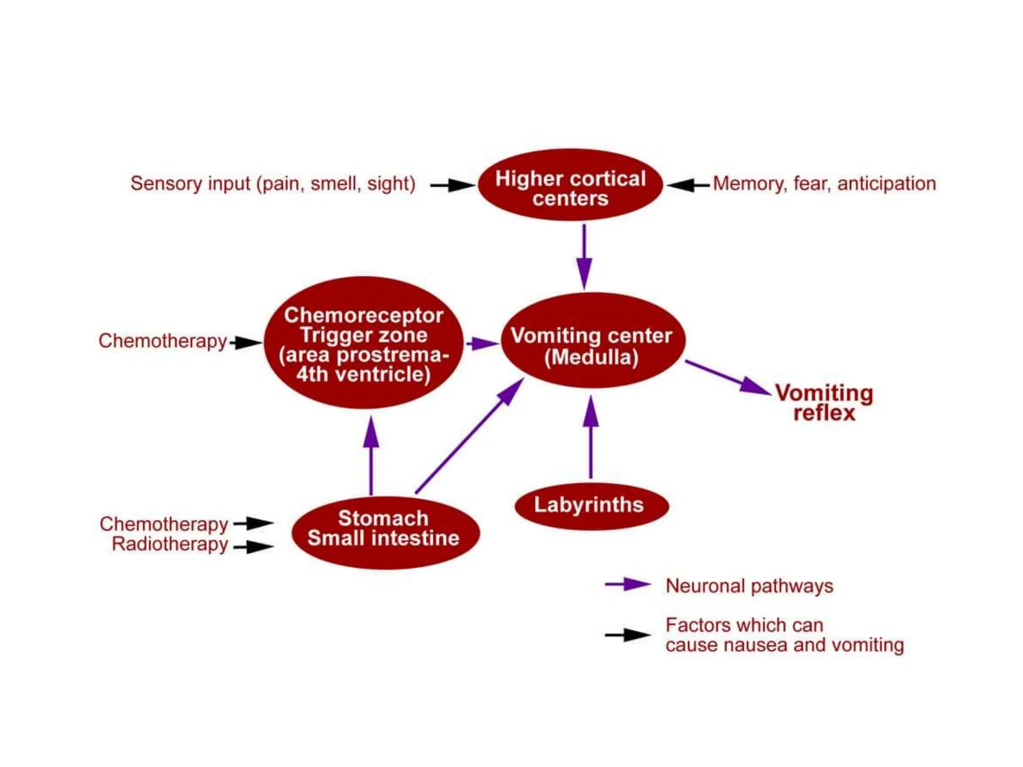 FINAL CINV cancer induced nausea vomiting | PPTX