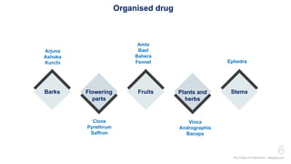 Final classification of crude drug morphological | PPTX