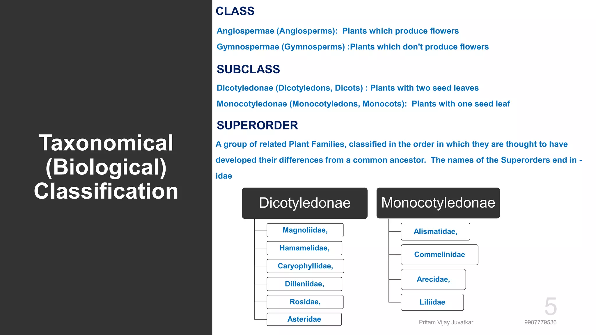 classification of crude drug taxonomical | PPTX